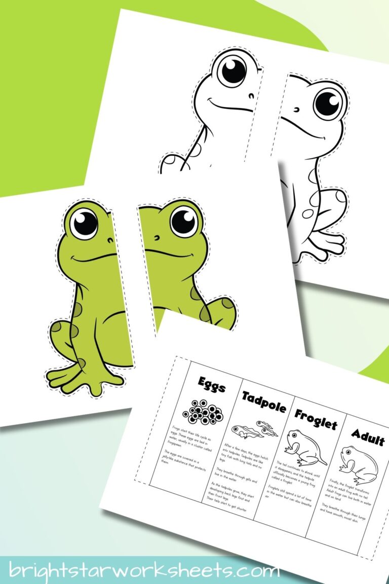 Frog Life Cycle Printable Activity - Bright Star Worksheets